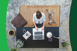 Internetas ir televizija | Cgates